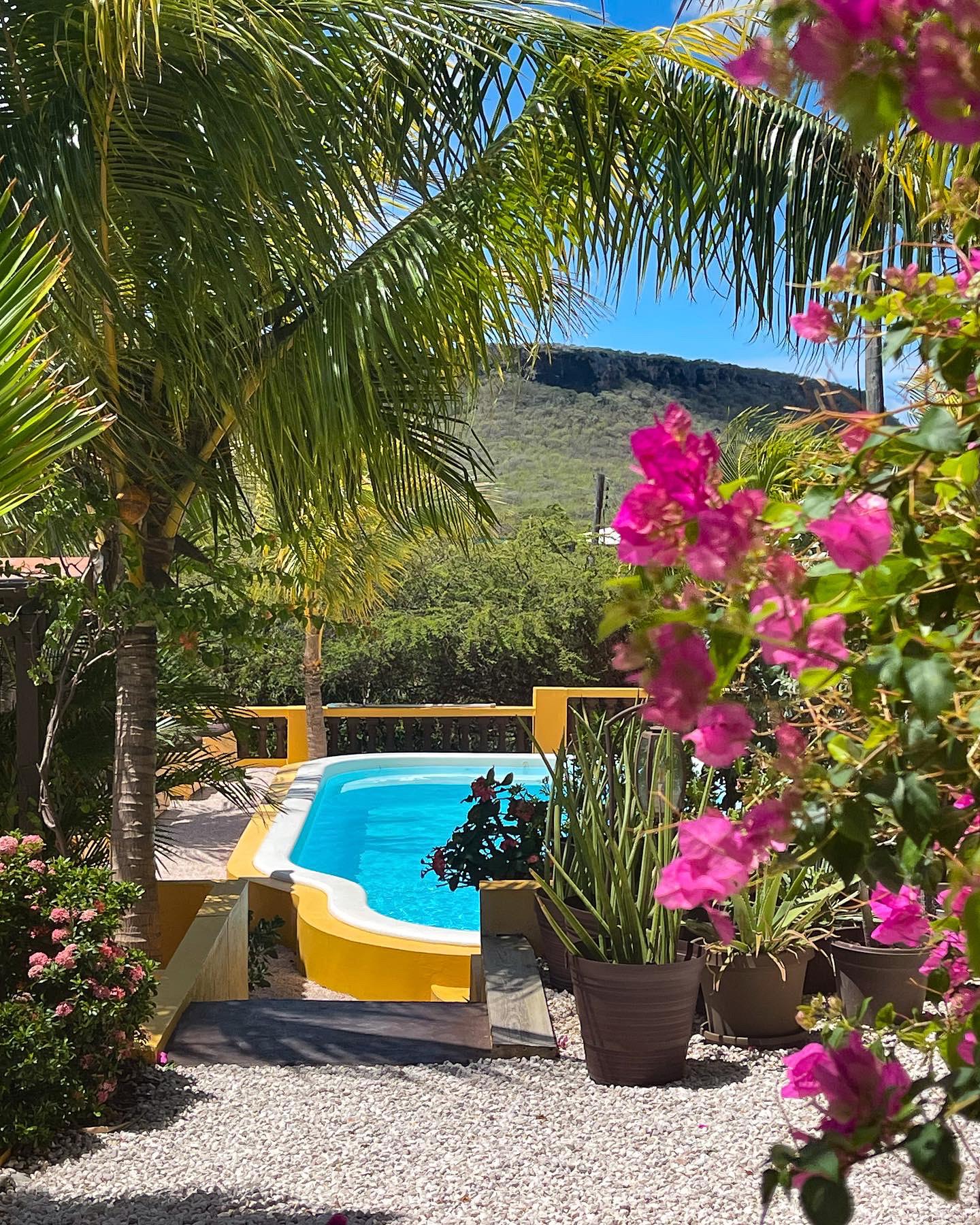 Een van de fijnste uitvalsbasissen op Curaçao: Jan Kok Lodges Curaçao ...