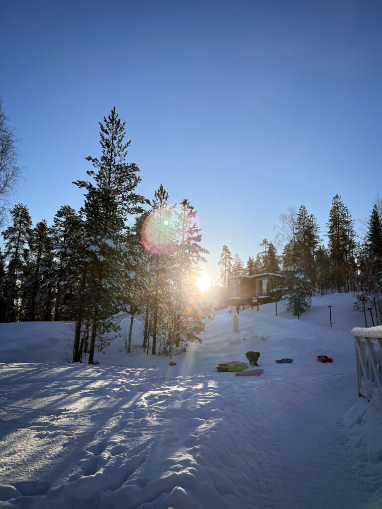 Arctic Treehouse Hotel in Fins Lapland is alles - Barts Boekje