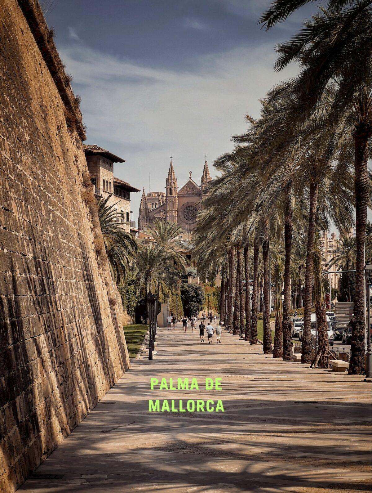 BARTS E-BOEKJE, Mallorca + Menora 2023 – MEER DAN 250 ADRESSEN EN TIPS ...