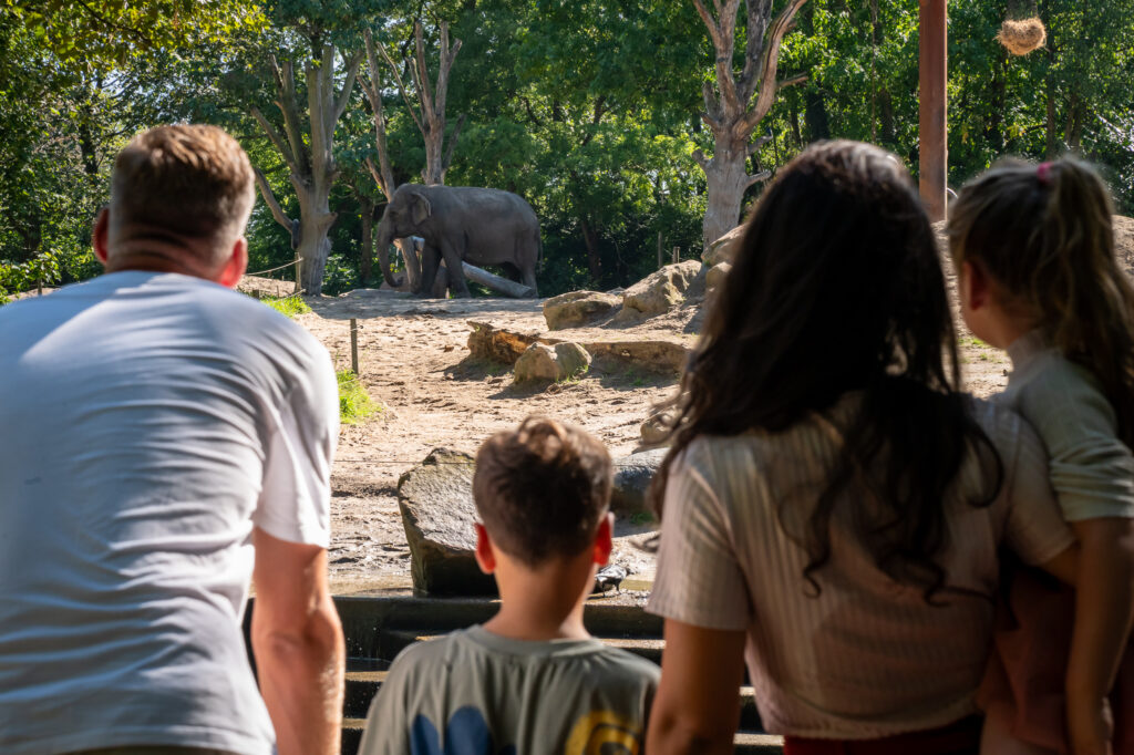 Spaßig und nachhaltig: ein Tag im Blijdorp Zoo – Barts Boekje