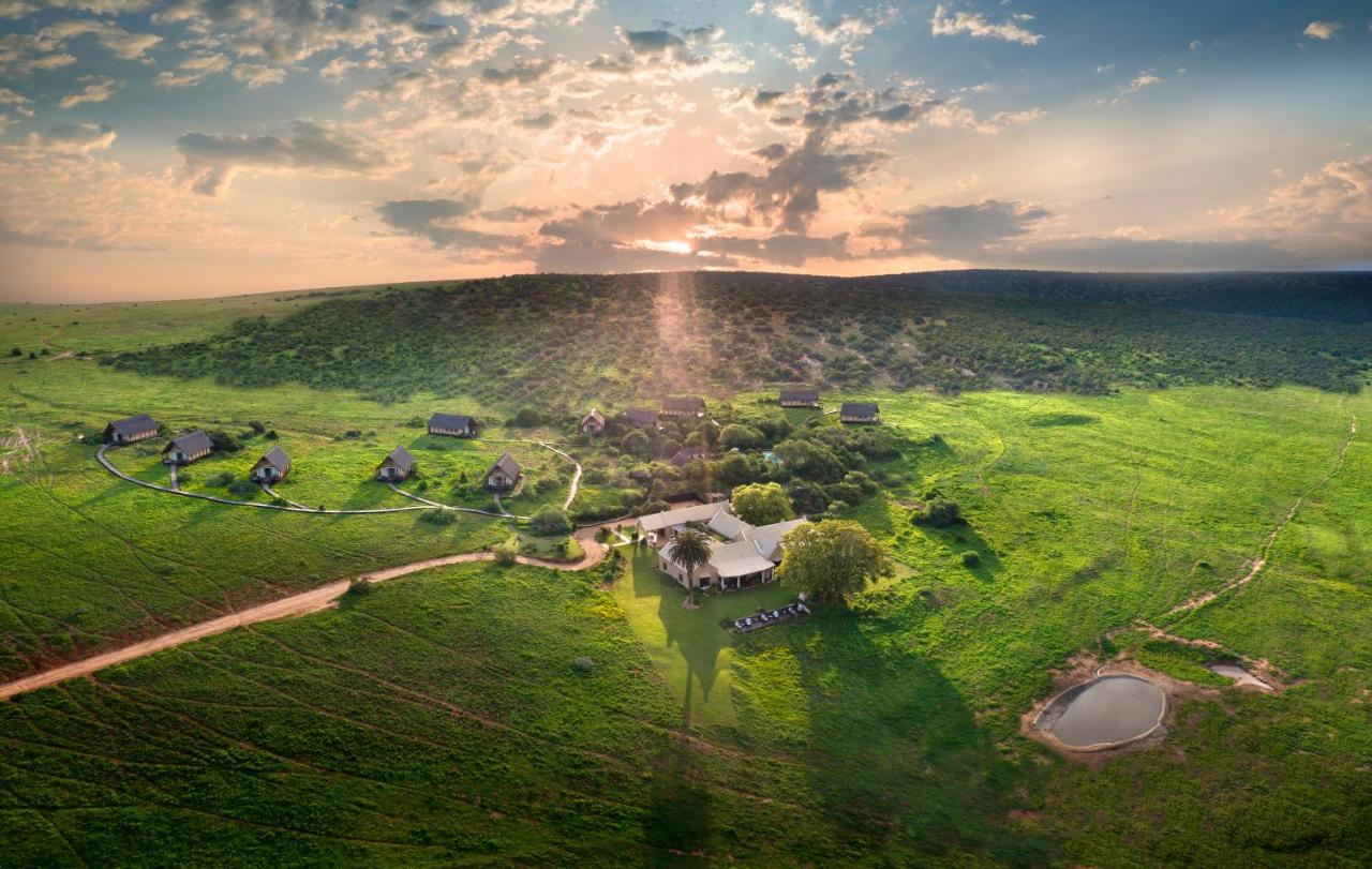 Overnachten tussen de olifanten bij Gorah Elephant Camp in Zuid-Afrika ...